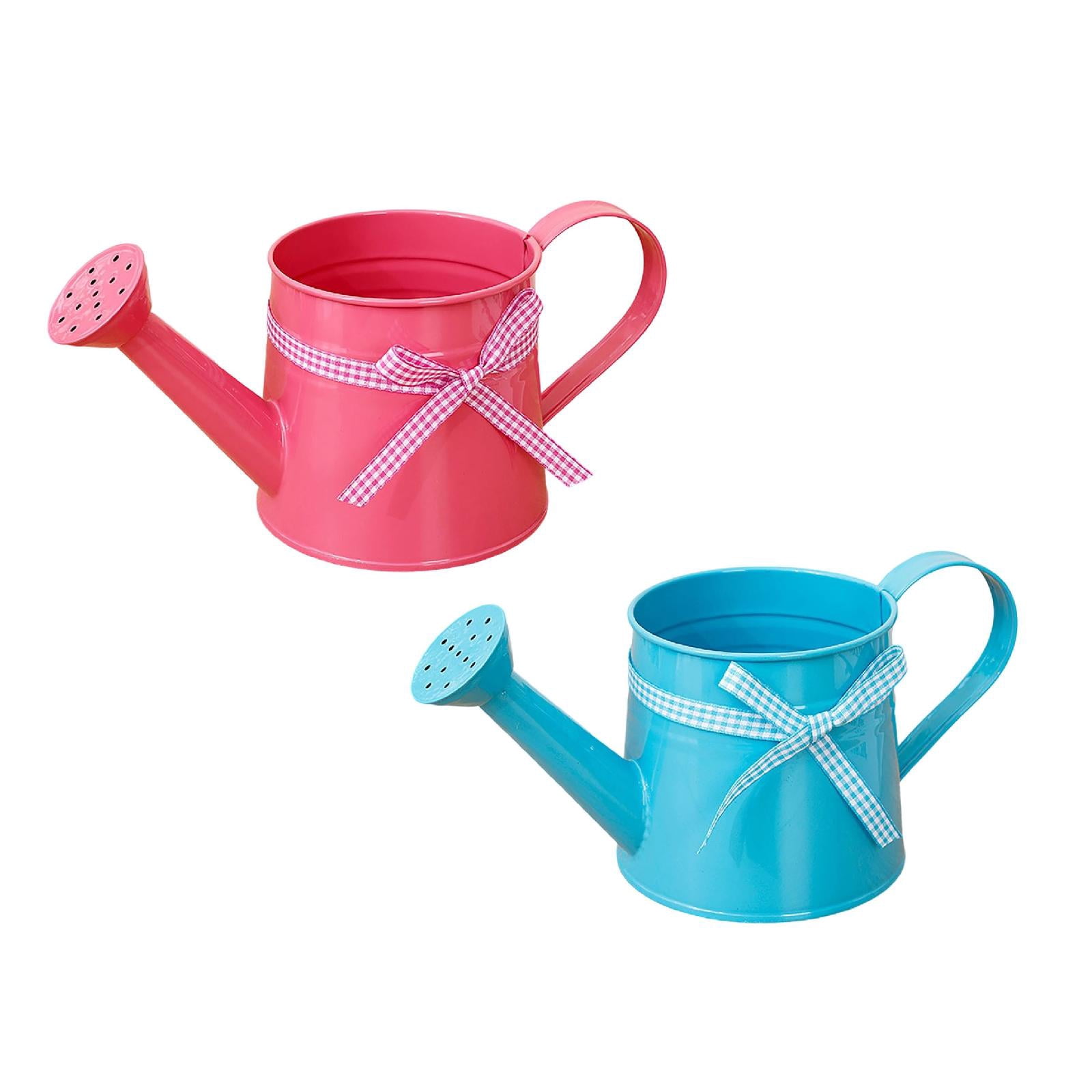 1L Metal Watering Can for Outdoor Indoor Plants, Gardening Tool ...