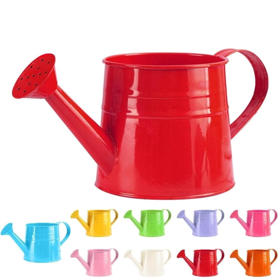 1L Metal Watering Can with Long Spout, Small Watering Can for Indoor ...