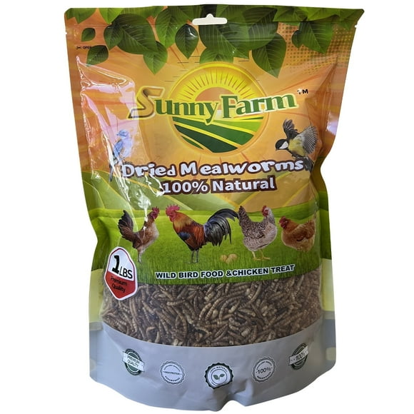 Chicken Feed in Chickens - Walmart.com