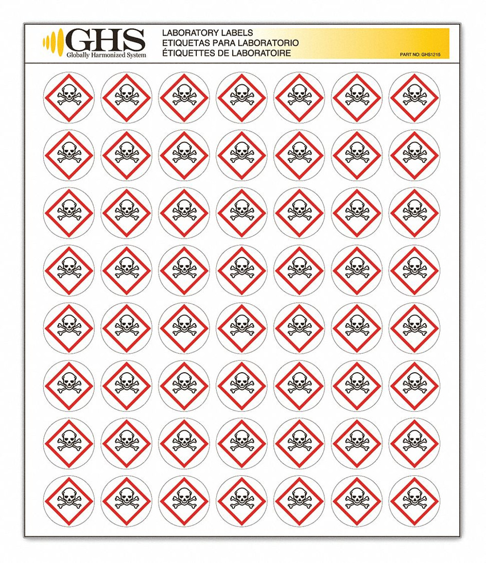 1PACK Ghs Safety Label,Gloss,Skull and Crossbones,PK1120 GHS1215 ...