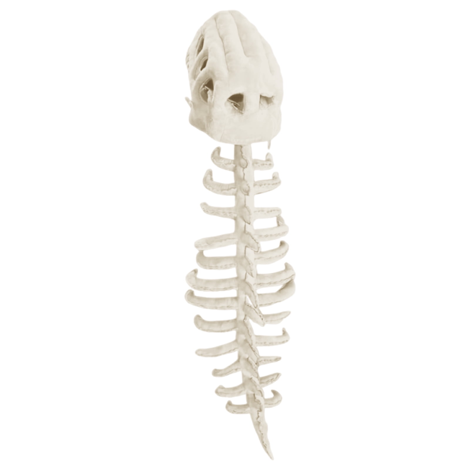 1PC A Minibee Dinosaur Skeleton Costume Set 3D Realistic Design ...