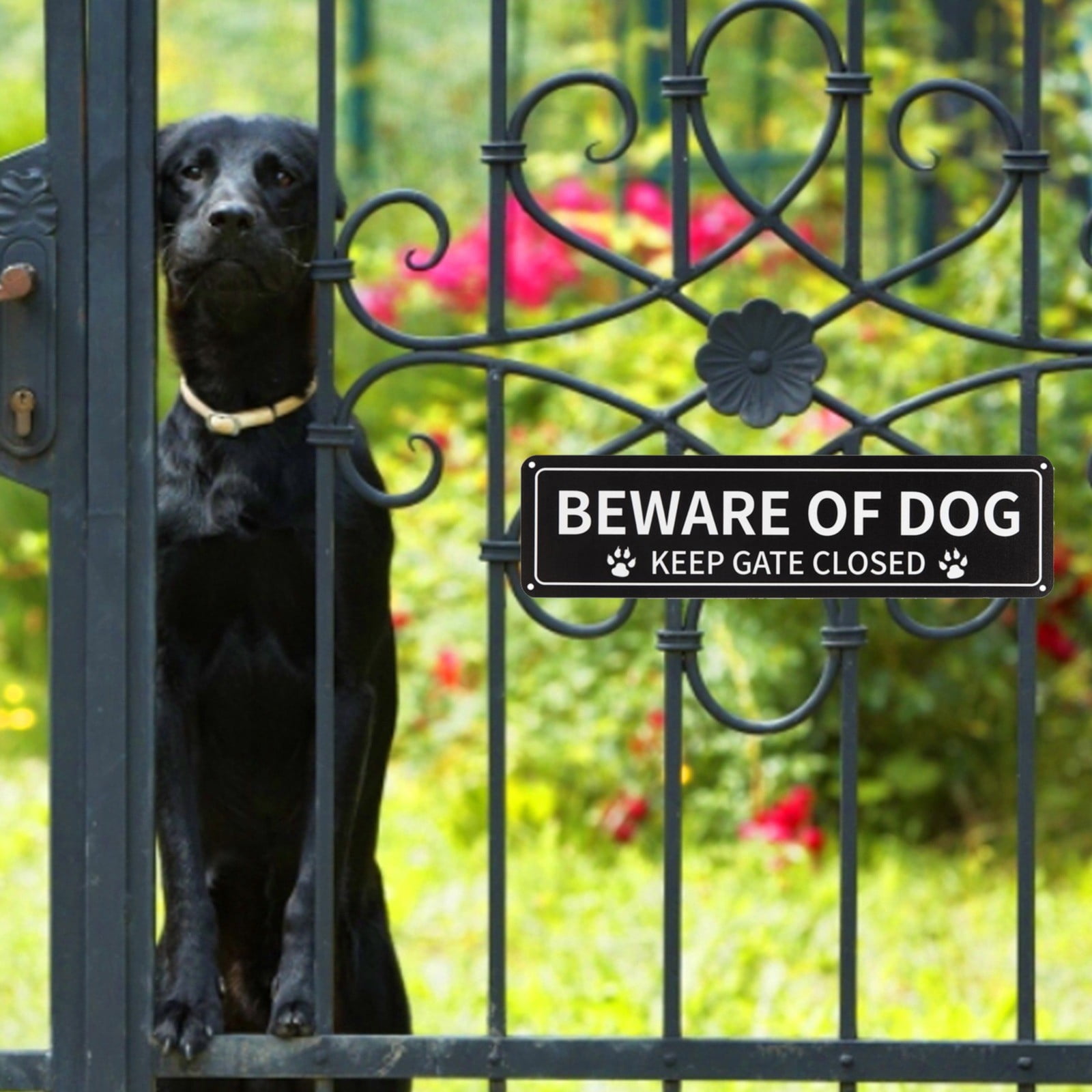 1PC Beware Dog Sign Warning Sign Beware Of Dog 12x3 Inch Sign Beware Of ...
