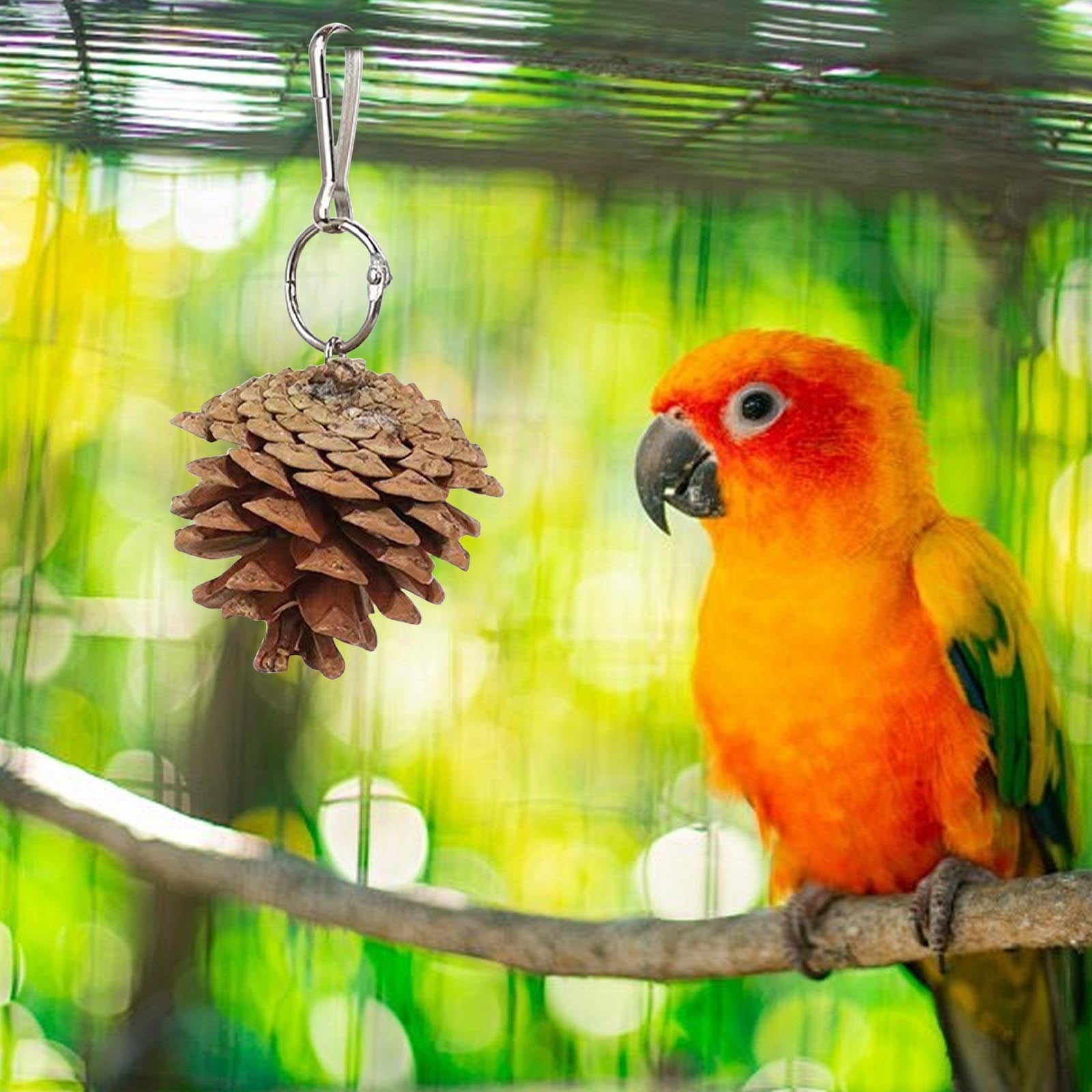 1PC Bird Toys for Parrots, DELESYS Wooden Parrot Toys Natural Pine ...