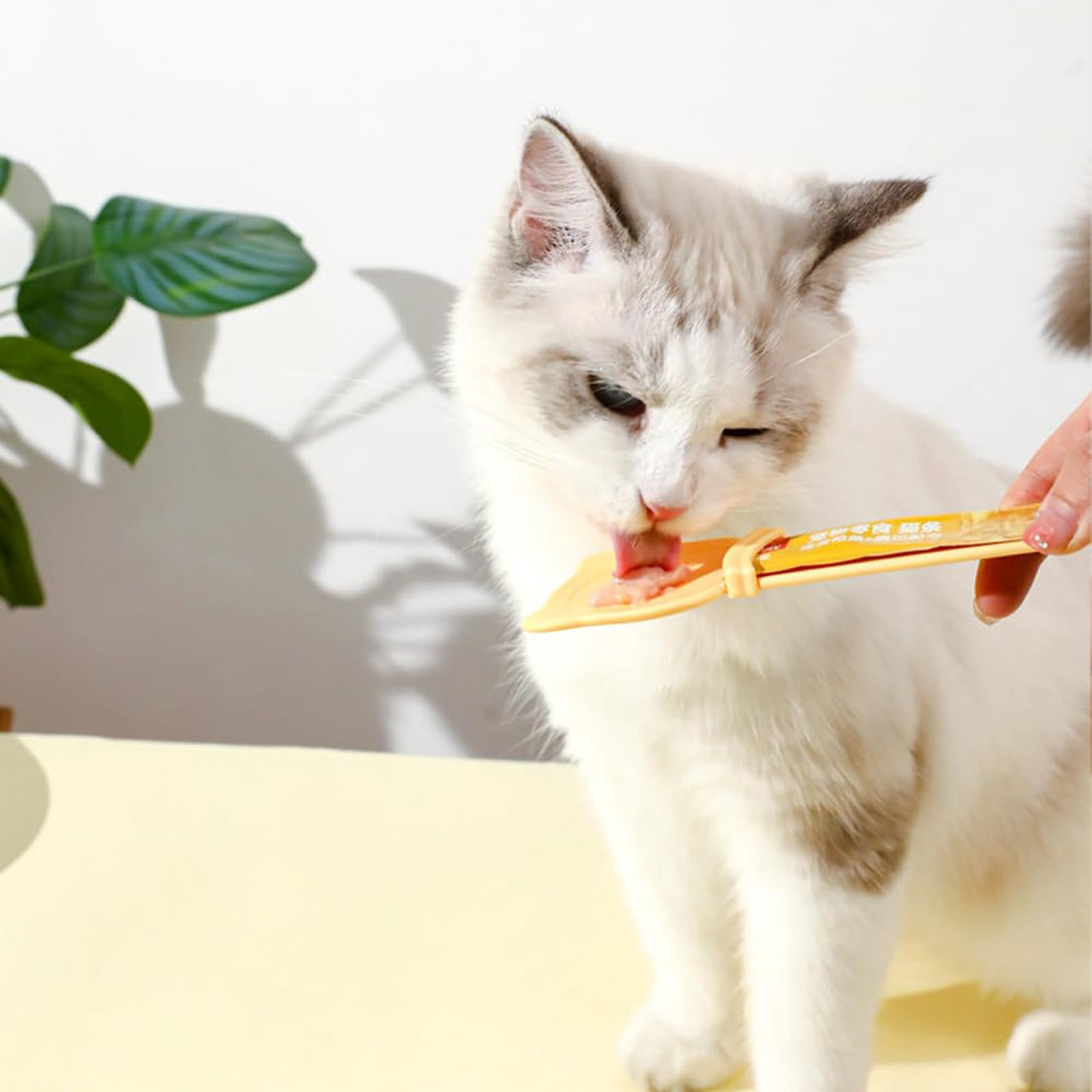 1PC Cat Strip Feeder and Pet Food Mixing Spoon,3 Color Cats Stripe ...