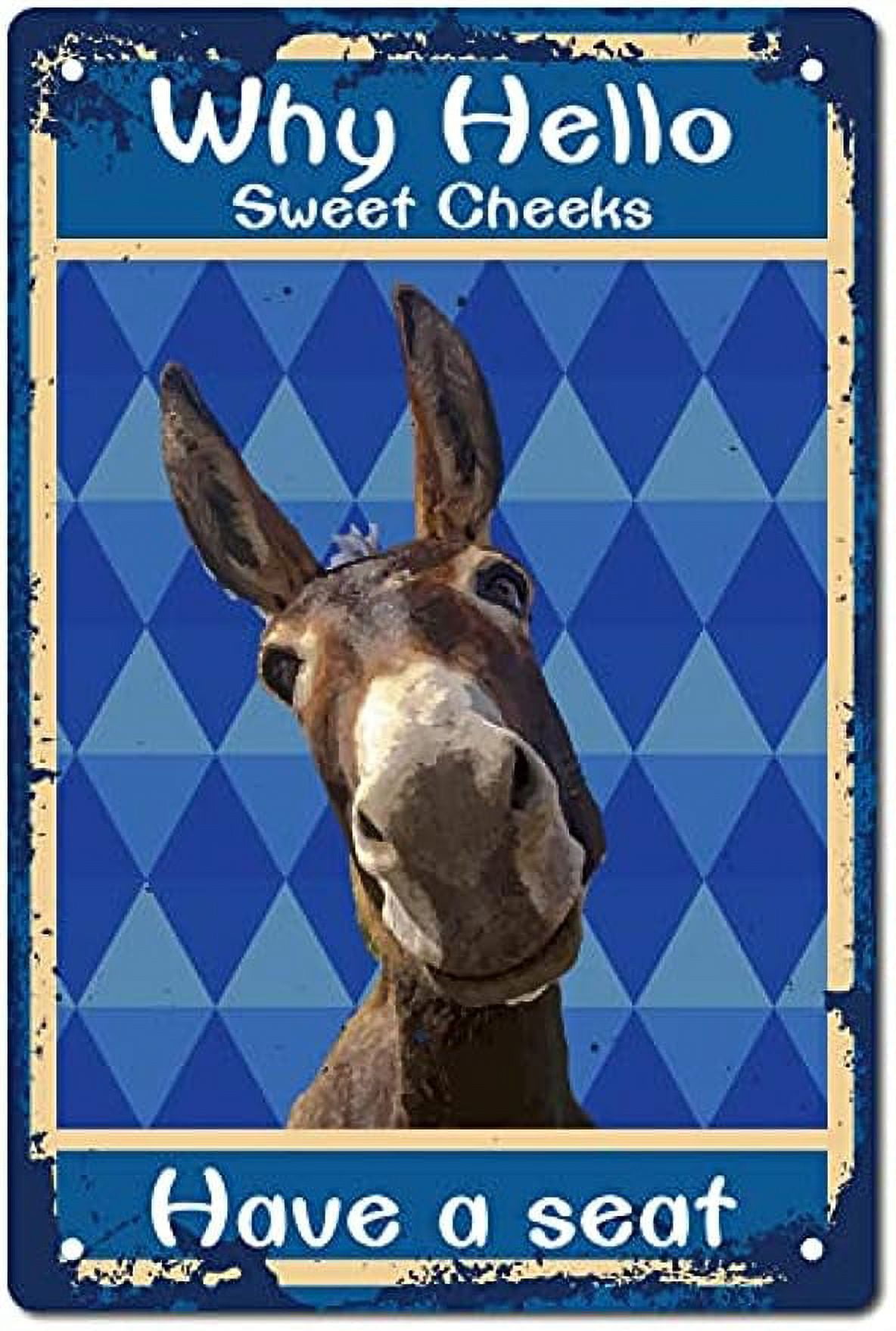 1PC Hello Sweet Cheeks Metal Tin Sign Vintage Donkey Tin Signs Funny ...