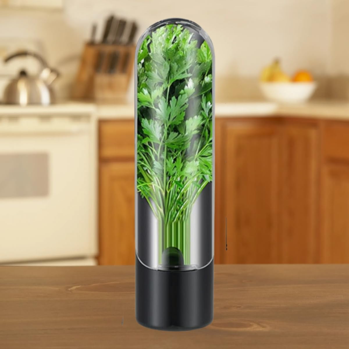 1PC Herb Storage containers for Refrigerator, Herb Saver for ...