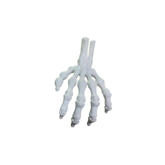 1PC Left Hand Skeleton 21CM Halloween Skull Claw Horror Figurine ...