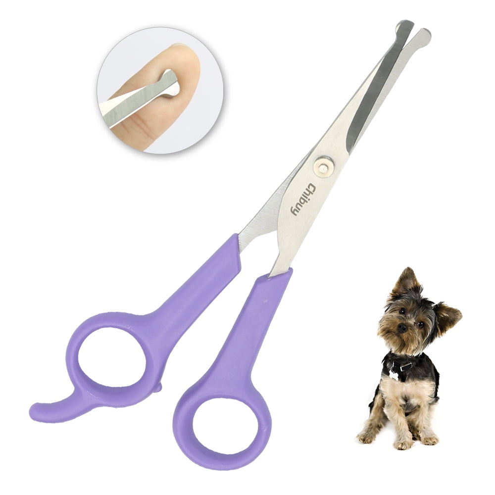 1PC Pet Scissors, Pet Grooming Eye Scissor For Dogs & Cats, Dog Hair ...