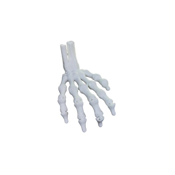 1PC Right Hand Skeleton 21CM Halloween skull claw horror figurine ...