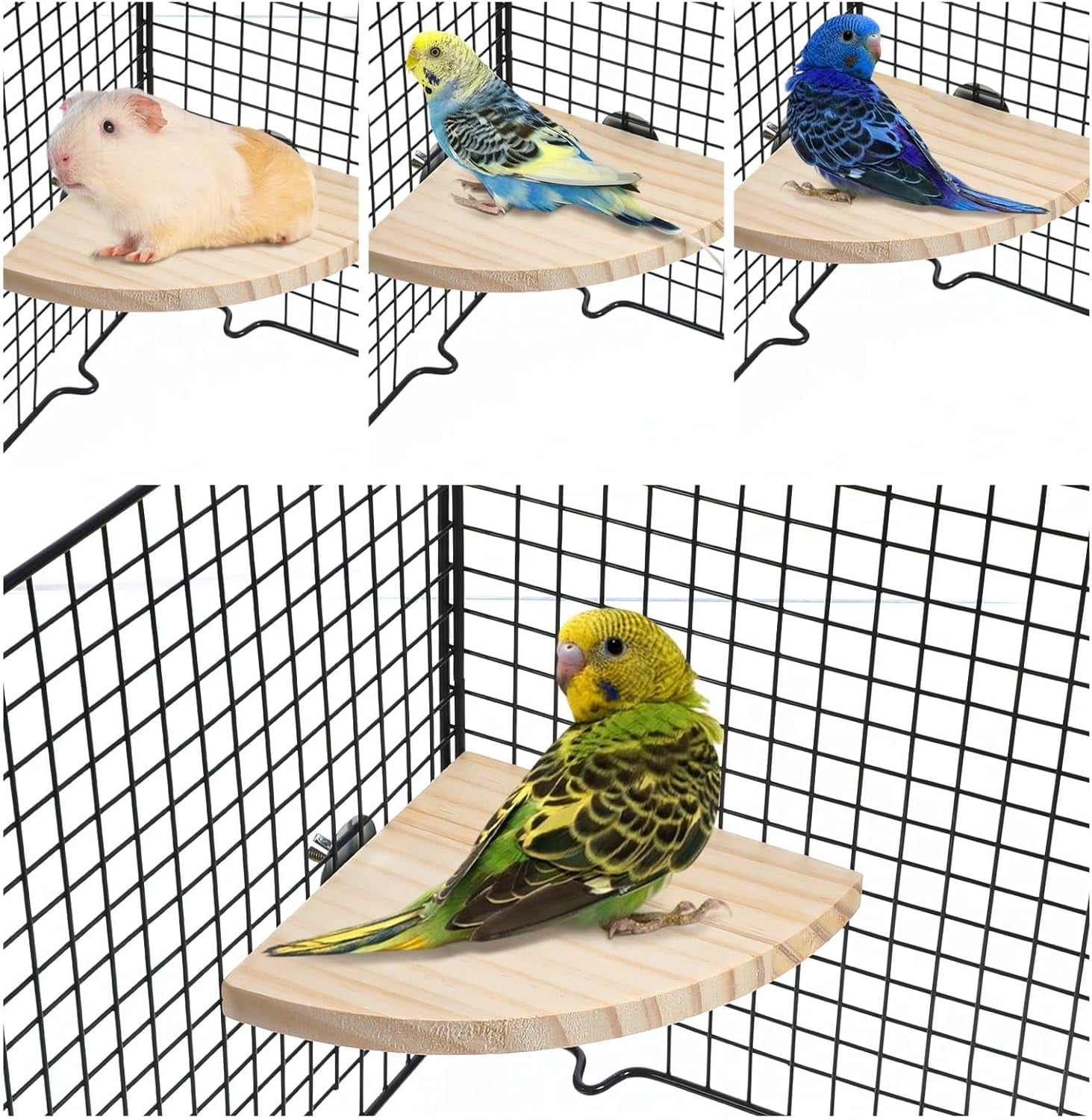 1PCS,Bird Perch Platform Stands Parrot Stand Sector Playground Wood ...