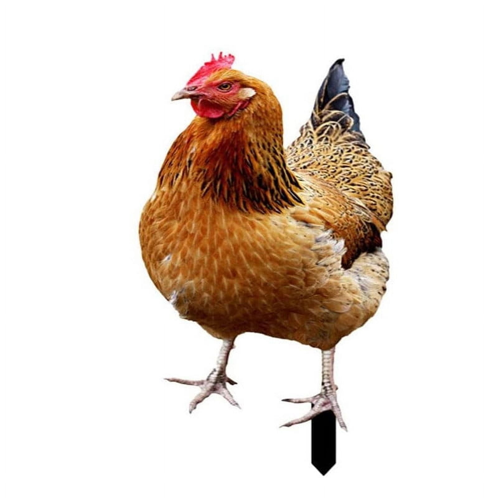 1PCS Garden Stakes, 3D Simulation Acrylic Hen Stake, Ground Plug Animal ...