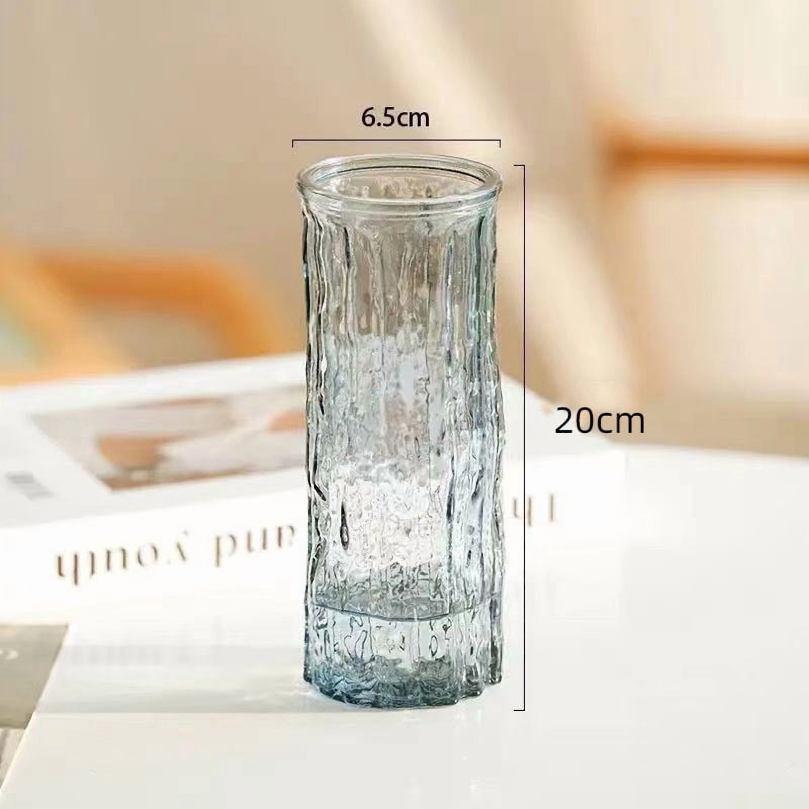 1PCS Minimalist Wind Glacier Vase Transparent Glass Vase Light Luxury ...