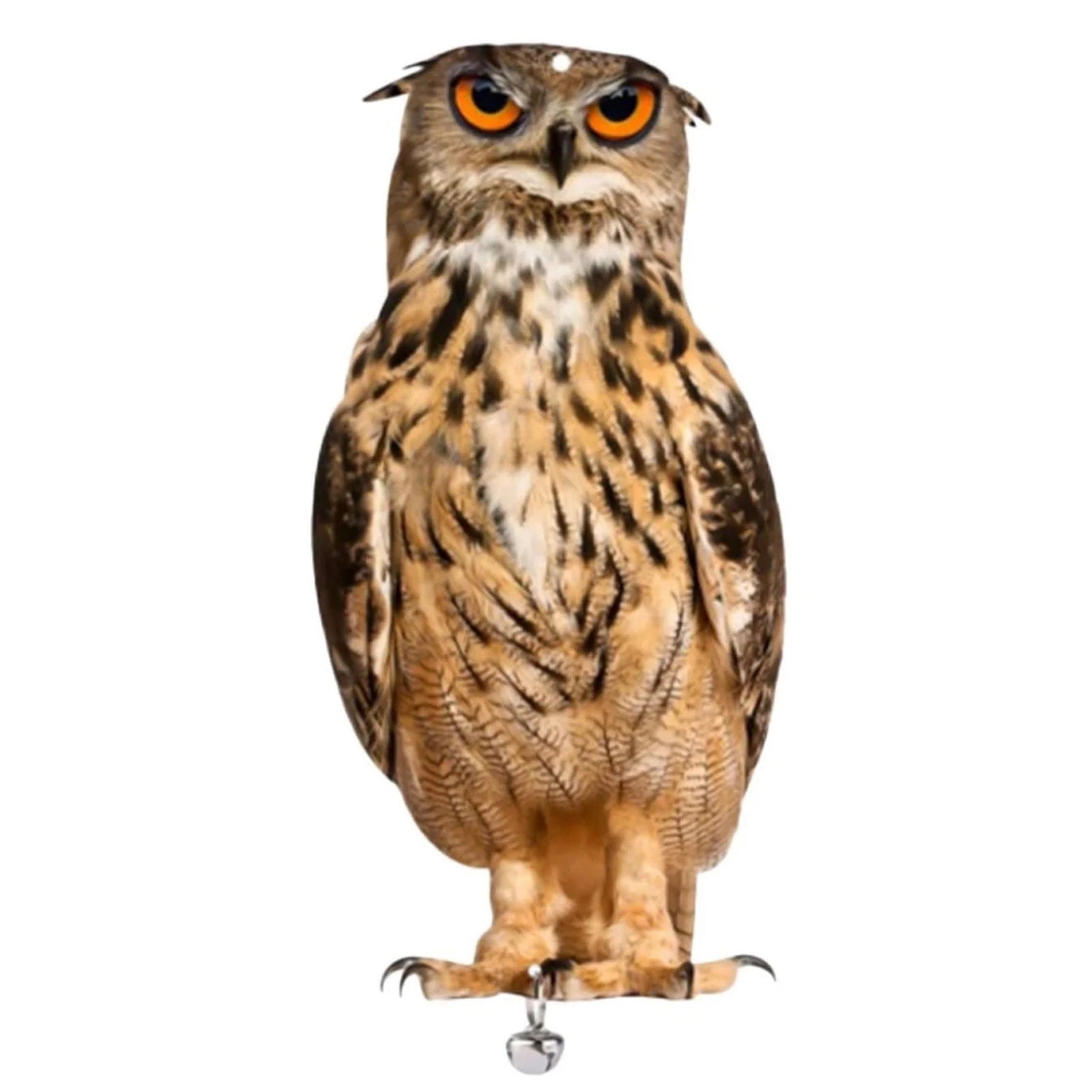 1PCS Owls to Keep Birds Leave from Porch Flat Garden Owl with ...