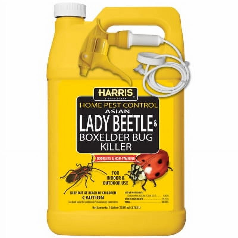 1PK Gallon Ready To Use Asian Lady Beetle & Box Elder Bug Killer ...