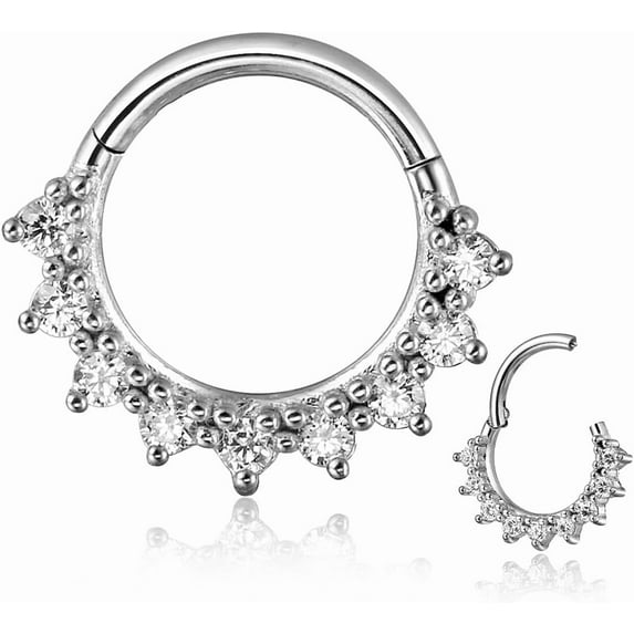 1Pack 16G/8mm Surgical Stainless Steel Segment Nose Rings,Cartilage ...