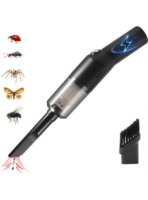 Roach in Pest Control - Walmart.com