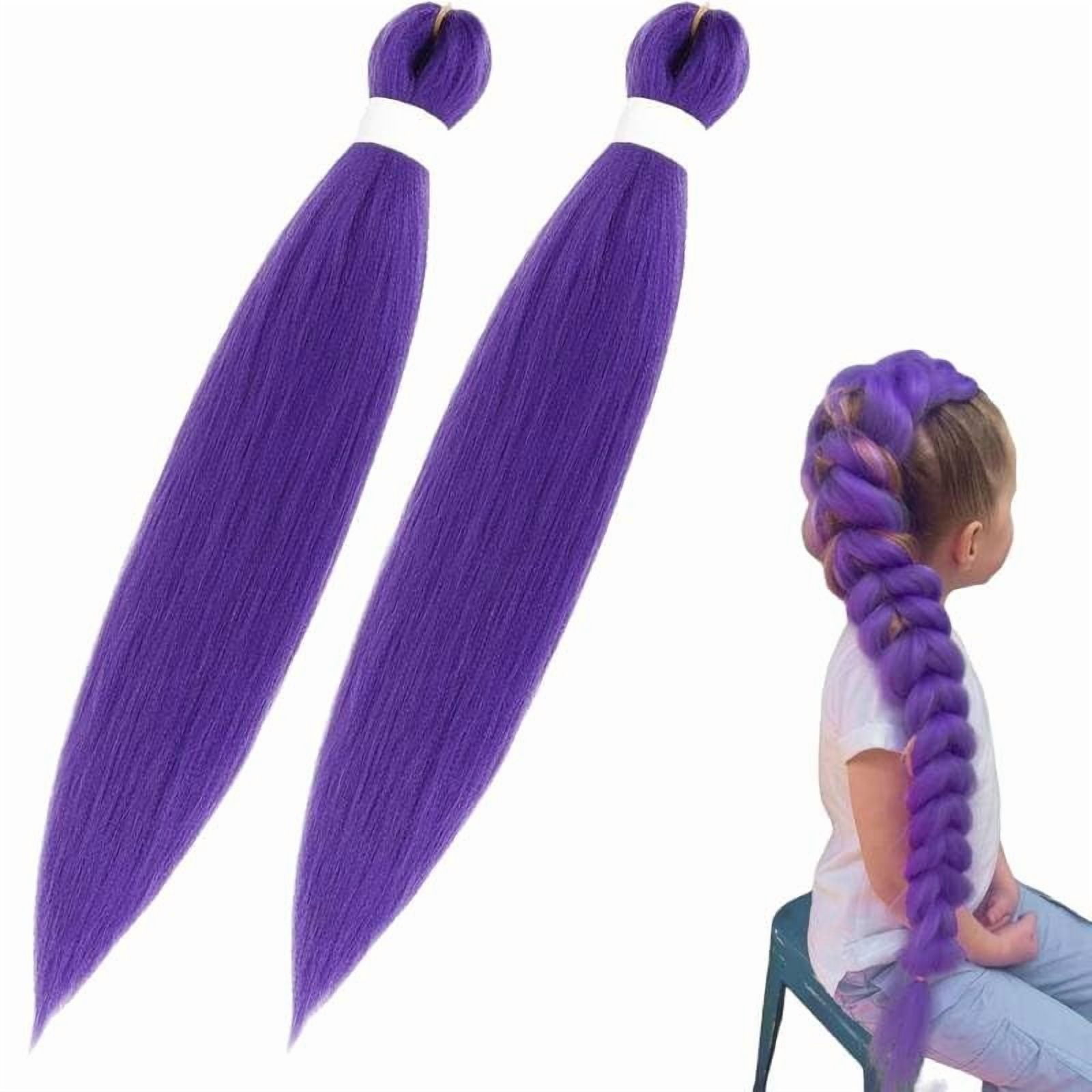 1PCS, Long Purple Braid Cos Hair Extensions Synthetic Fiber Box ...
