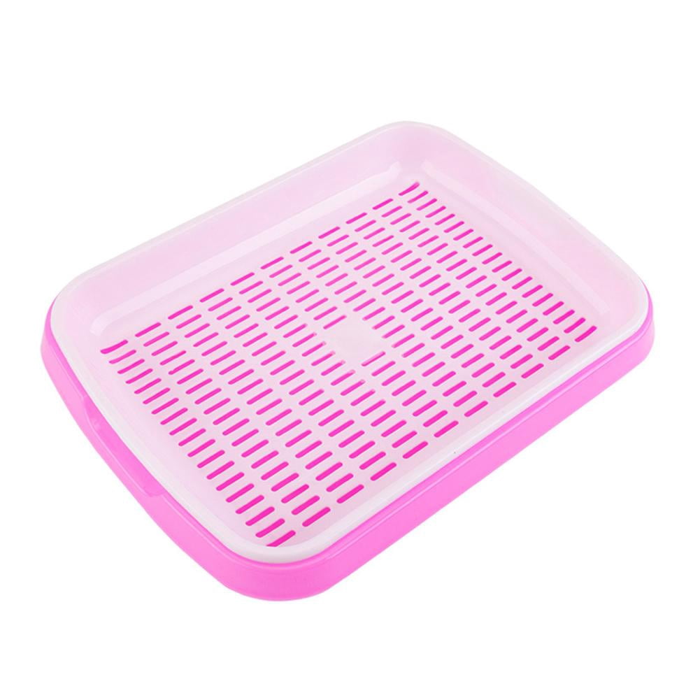 1Pack Sprouts Growing Kit, Bean Sprouts Tray, Soil-Free Sprouting Tray ...