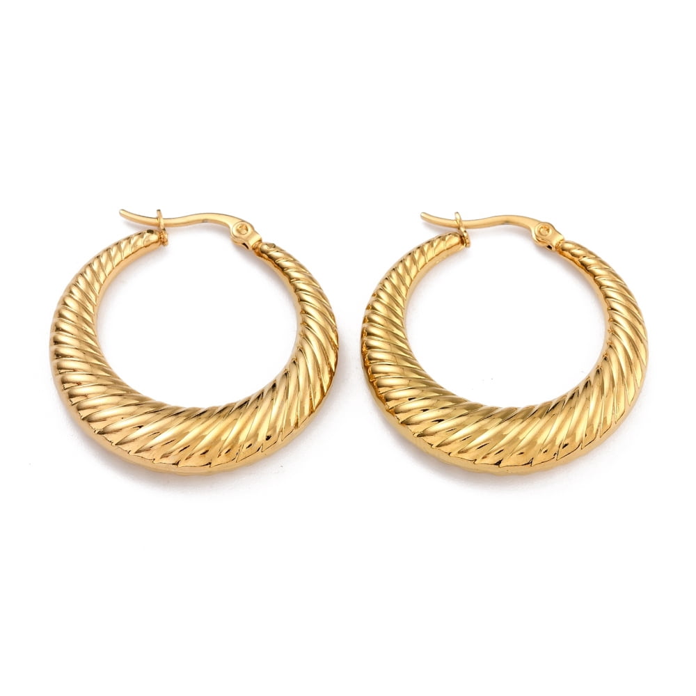 1Pair Ion Plating(IP) 304 Stainless Steel Hoop Earrings Hypoallergenic ...