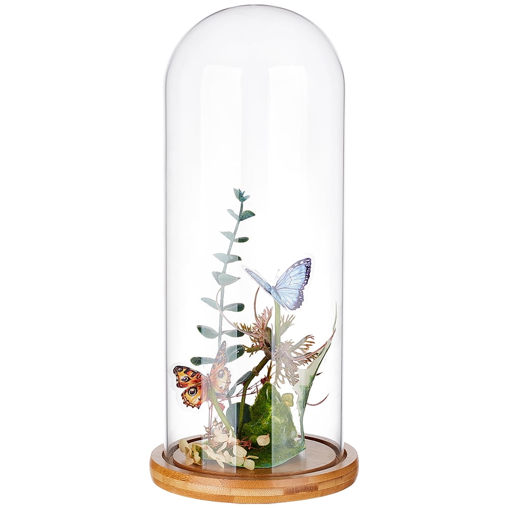 1Pc Glass Display Dome Cloche, 5.63x12.5inch Clear Decorative Bell Jar ...