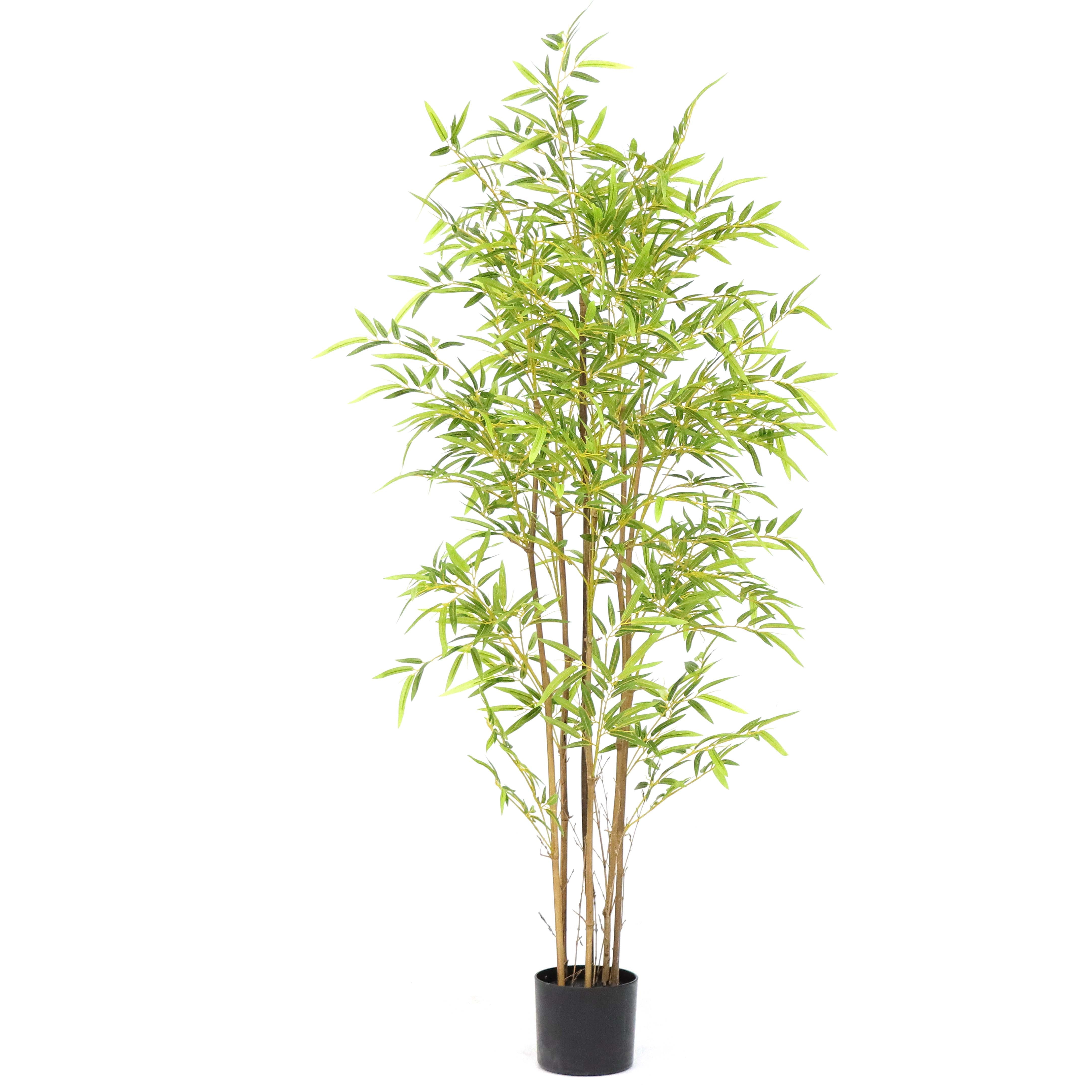 1Pc Pe Simulated Bamboo, The Trunk Is A Real Bamboo Pole (Including ...