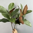 1Pcs Artificial Magnolia Leaves Stems, Real Touch Magnolia Leaf ...