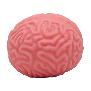 Squishy Brain