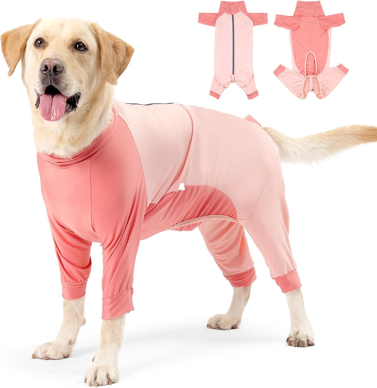 1Piece Dog Onesie Surgery Recovery Suit for Female Male Dogs After ...