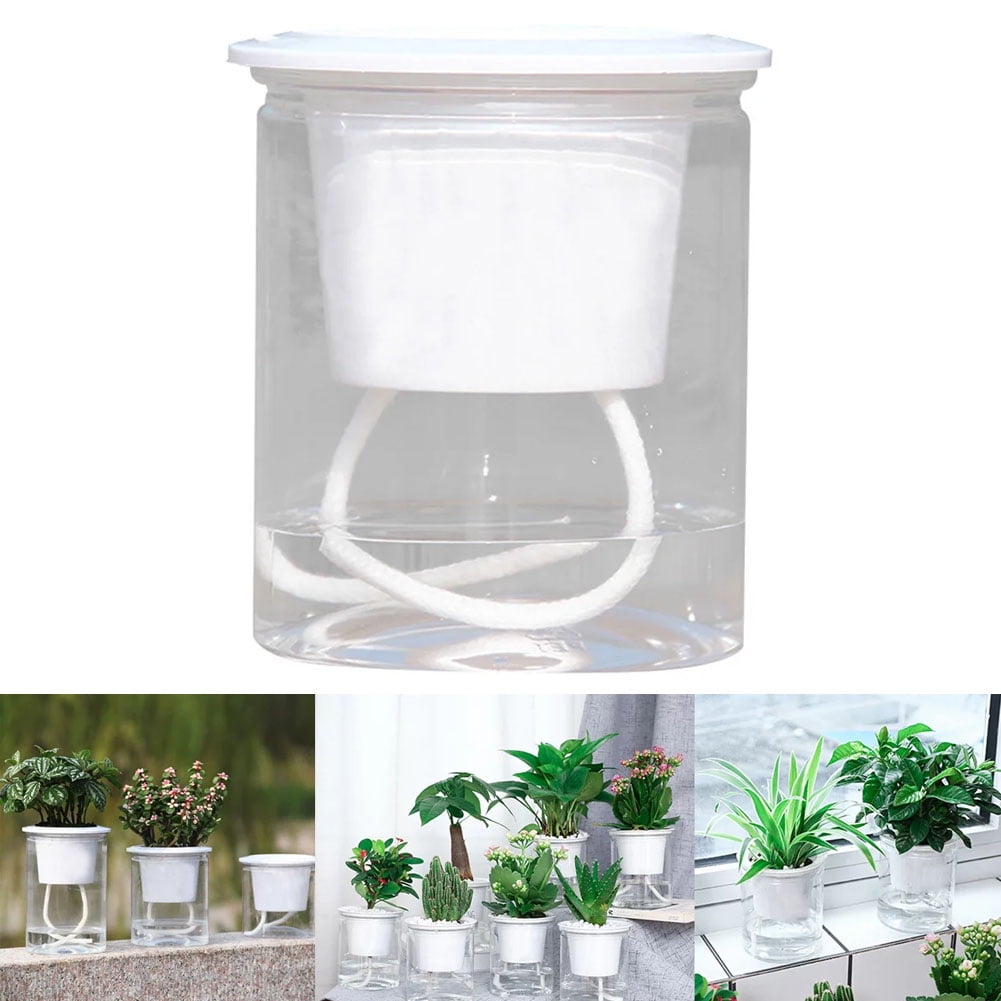 1Piece Self Watering Planter, Clear Plastic Automatic-Watering Planter ...