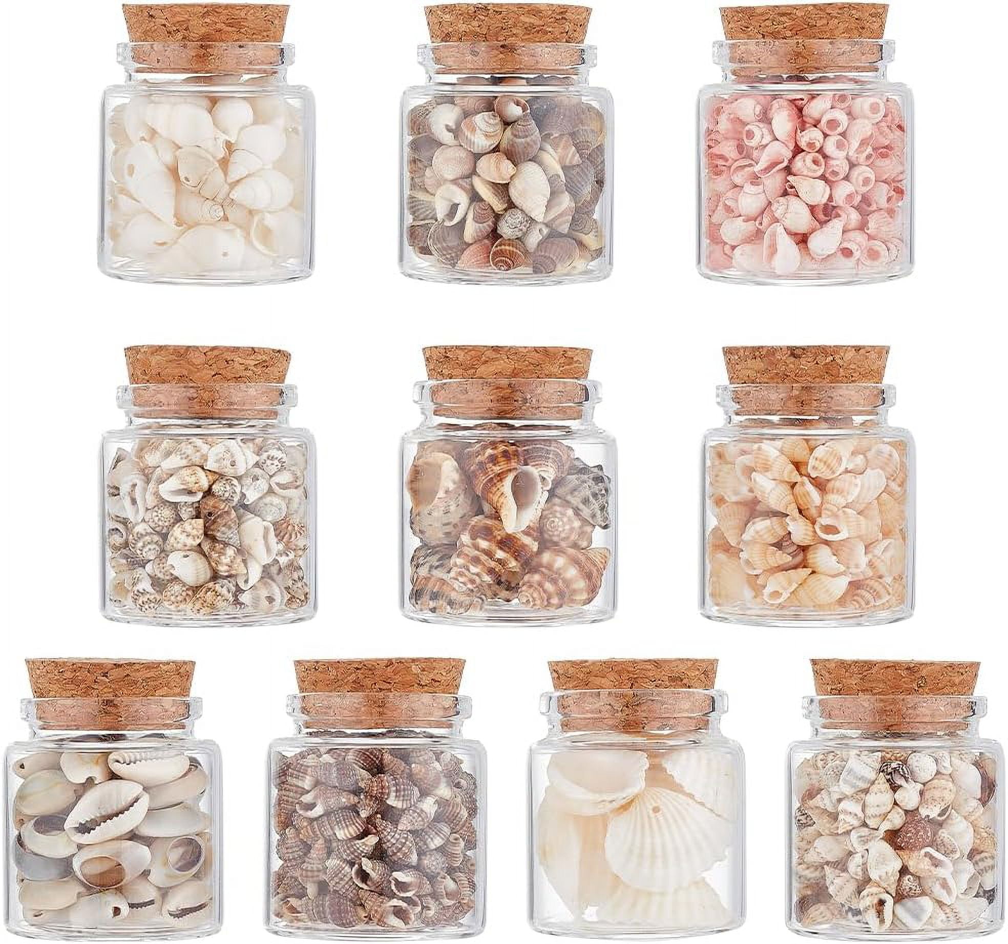 1Set 10Pcs Natural Sea Shell Conch Bead & Transparent Glass Bottle ...