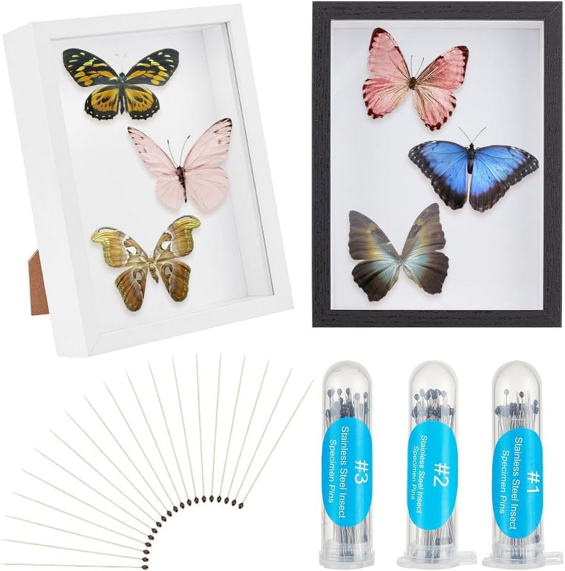 1Set 2 pcs Insect Display Case Collection Box with Clear Top for ...