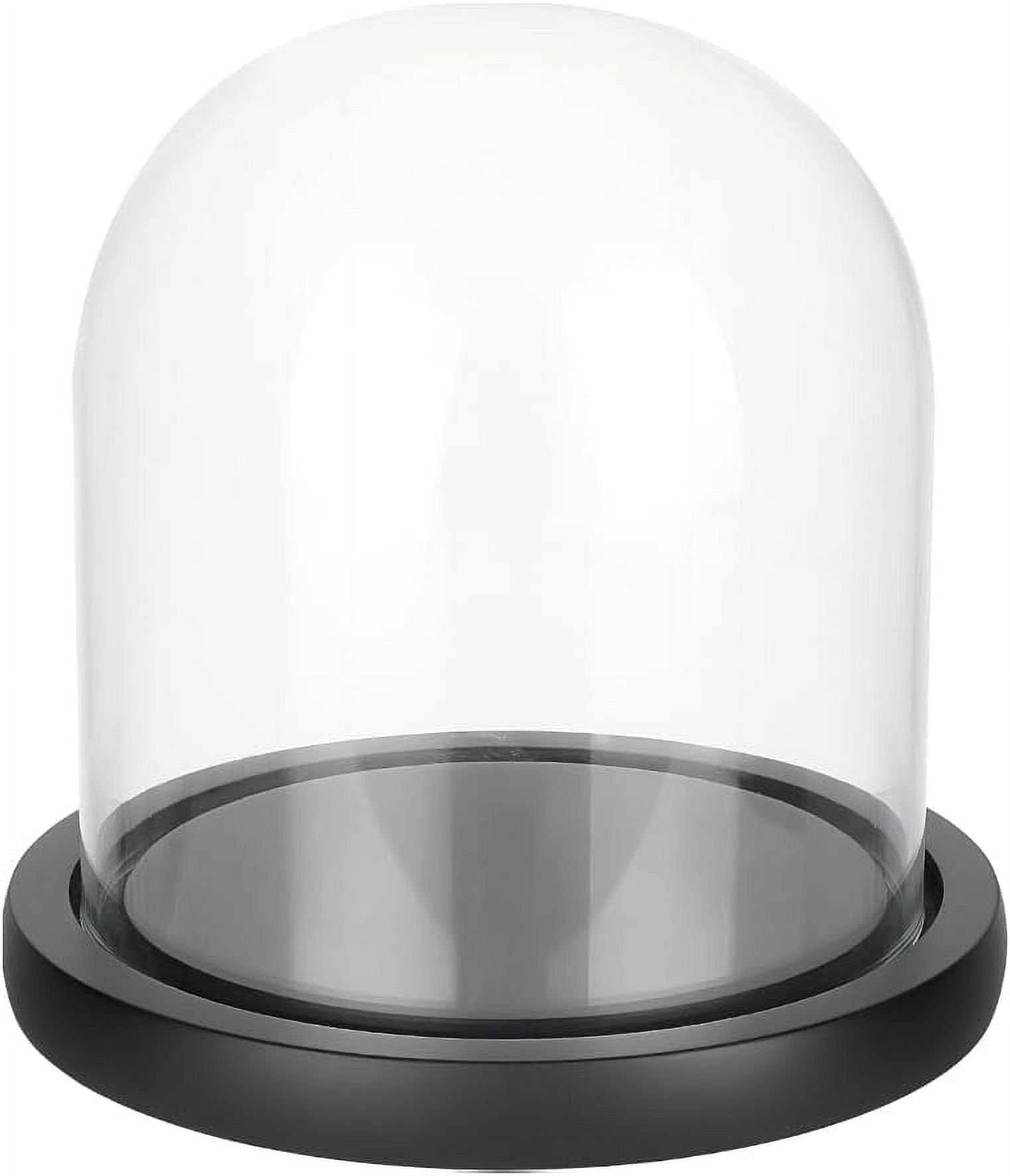 1Set 5.5x5inch Eternal Transparent Flower Glass Cover Glass Display ...