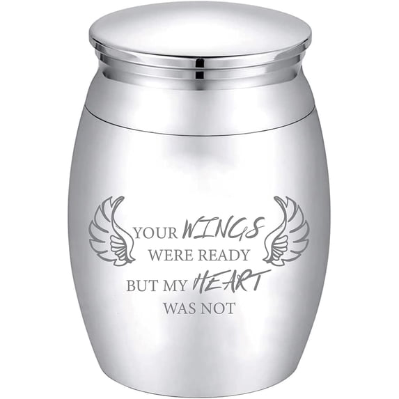 1Set Alloy Cremation Urn Kit with Disposable Flatware Spoons Silver ...