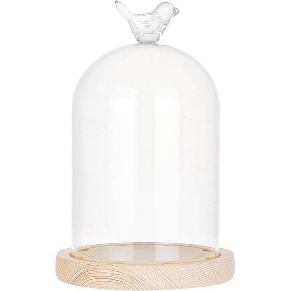 1Set Bird Glass Dome Cover Decorative Display Case Cloche Bell Jar ...