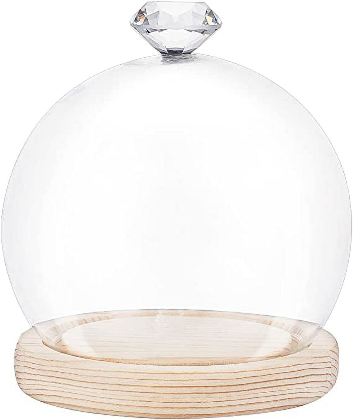 1Set Clear Glass Dome Glass Dome Cloche Ball-Shaped Clear Glass Display ...