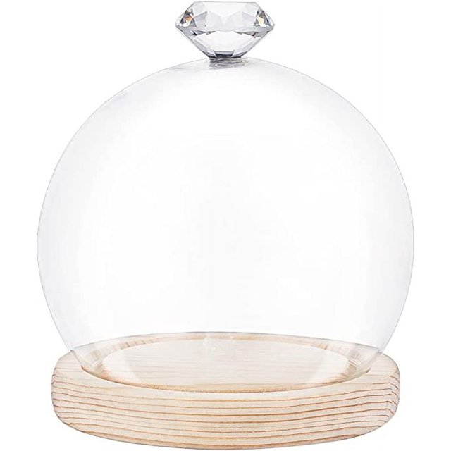 1Set Clear Glass Dome Glass Dome Cloche Ball-Shaped Clear Glass Display ...