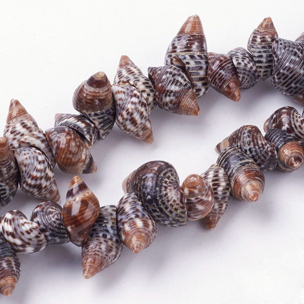 1Strand Natural Spiral Shell Beads Strands Conch 5~10x12~17x6~10mm Hole: 1mm about 94pcs/strand ...