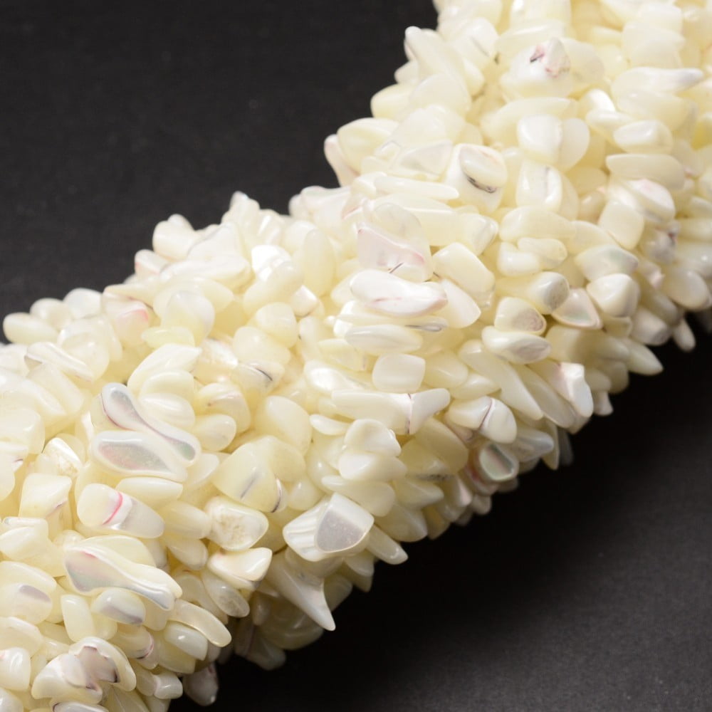 1Strand Natural Trochid Shell/Trochus Shell Beads Strands Shell Shards ...