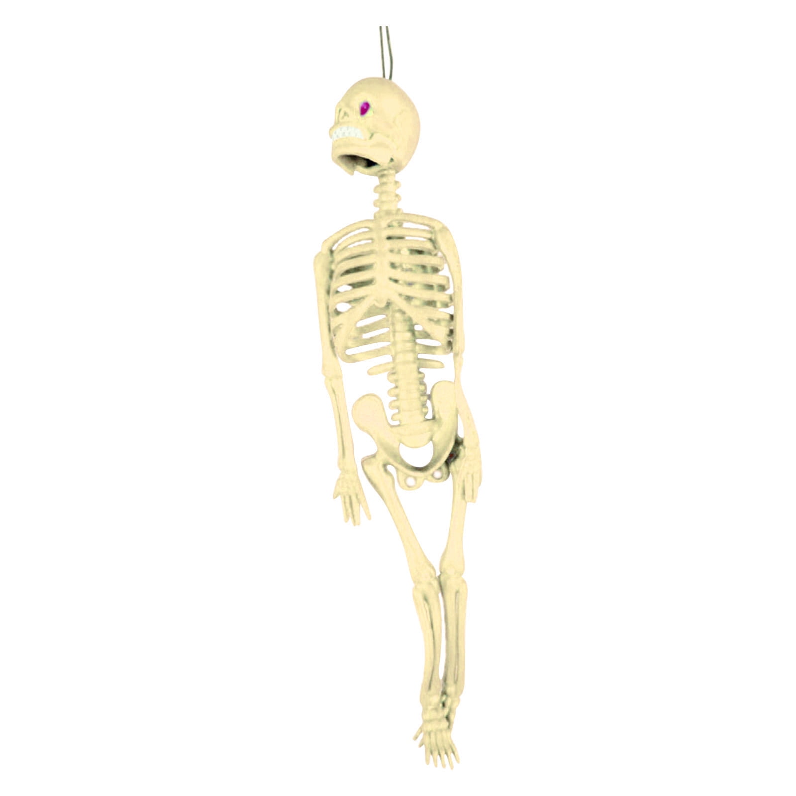 1X Tricky Scary Skeleton Human Skeleton Clearance! Nomeni Halloween ...