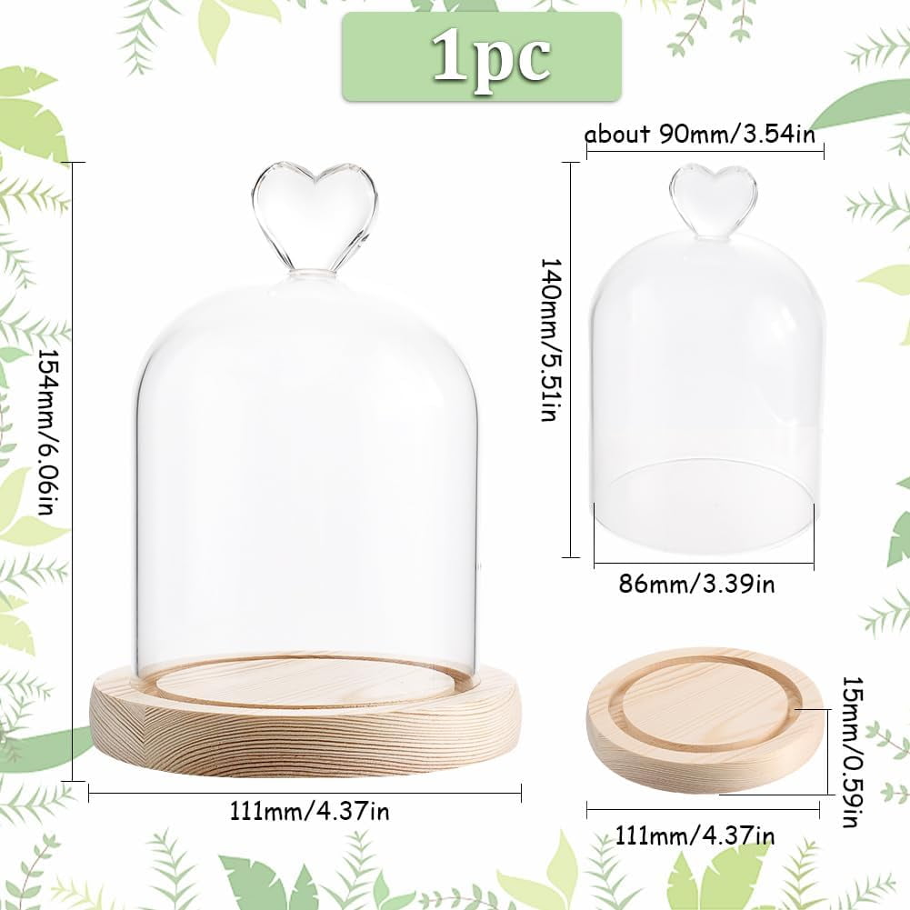 1bag 1pc Glass Dome Cover Decorative Display Case Cloche Bell Jar ...