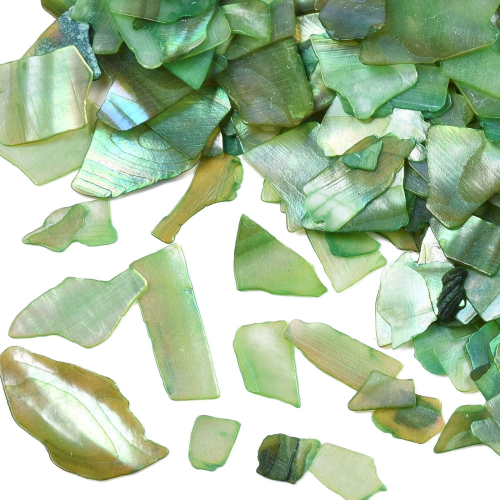 1bag Natural Abalone/Paua Shell Mica Fragment Nail Art Decorations ...