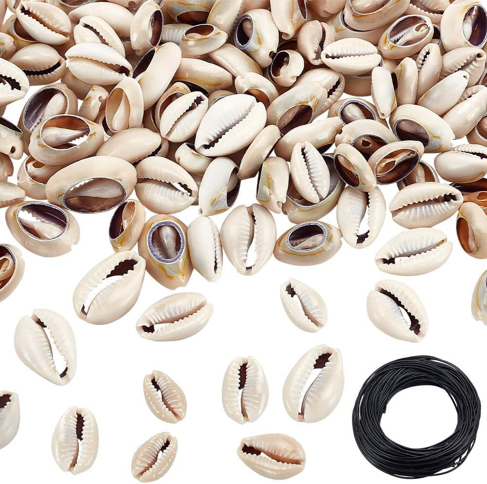 1box 180pcs Shell Beads Smooth Cowrie Beads Spiral Shell Beads Cowrie Loose Beads Seashell ...