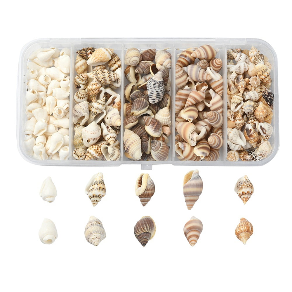 1box 5 styles Mixed Shell Beads No Hole Mixed Shapes Mixed color 6~20x3 ...