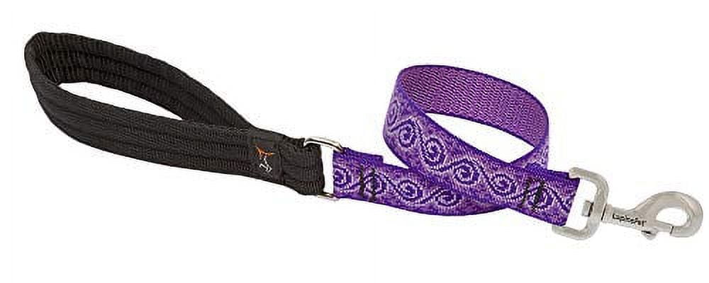 1in Jelly Roll 2ft Dog Leash - Walmart.com