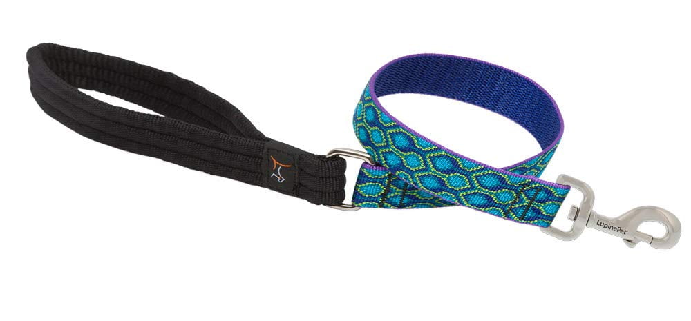 1in Rain Song 2ft Dog Leash - Walmart.com