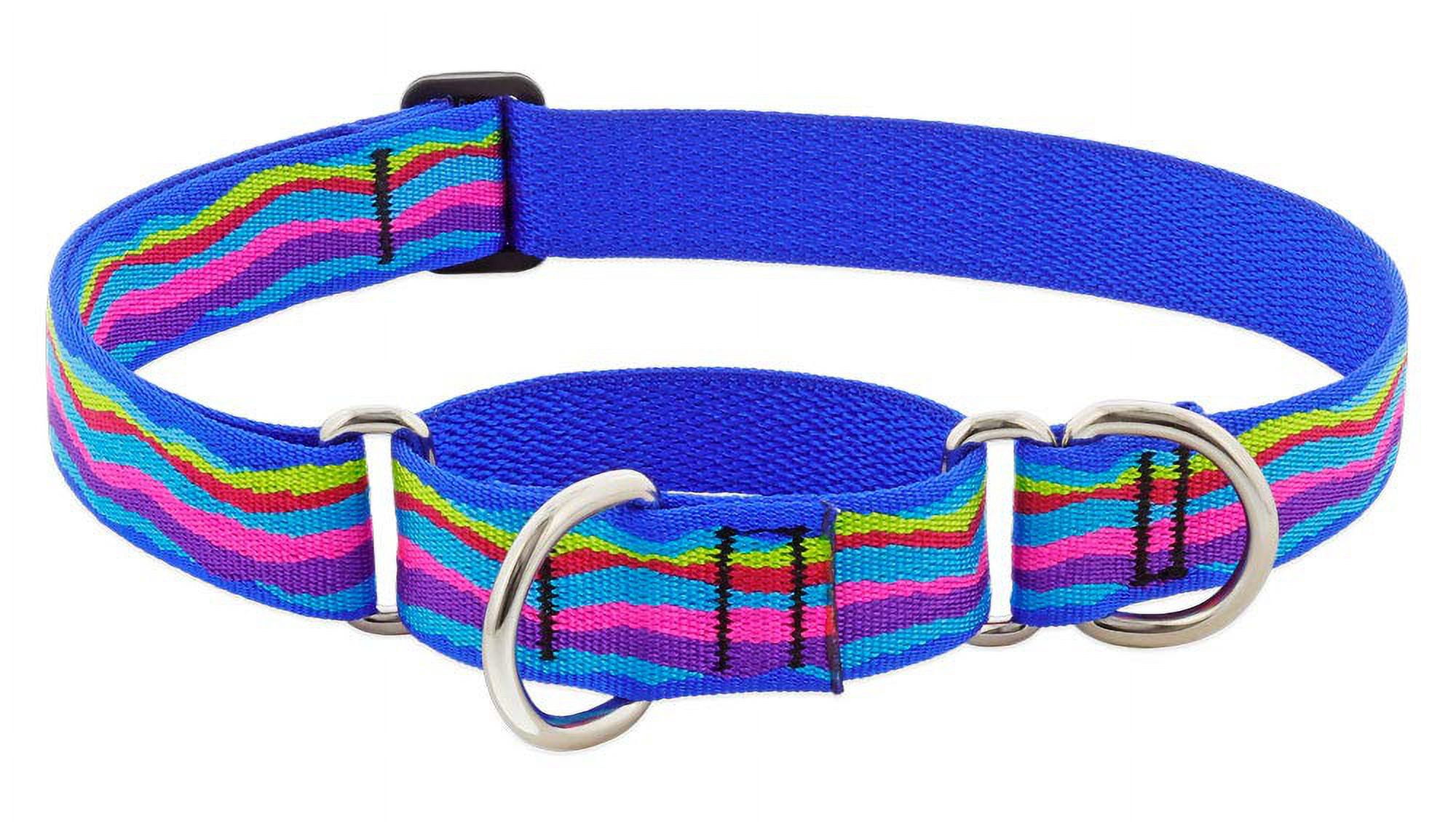 1in Ripple Creek 19-27 Martingale Dog Collar - Walmart.com