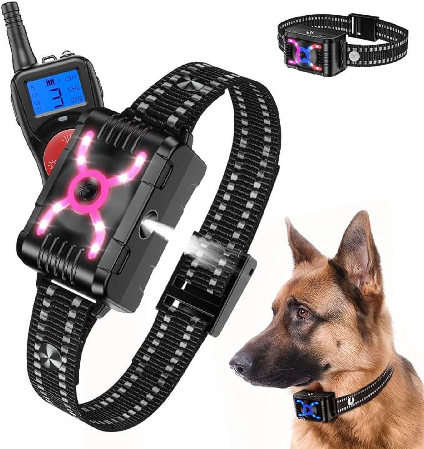 1in Turtle Reef 12-20 Adj Dog Collar - Walmart.com