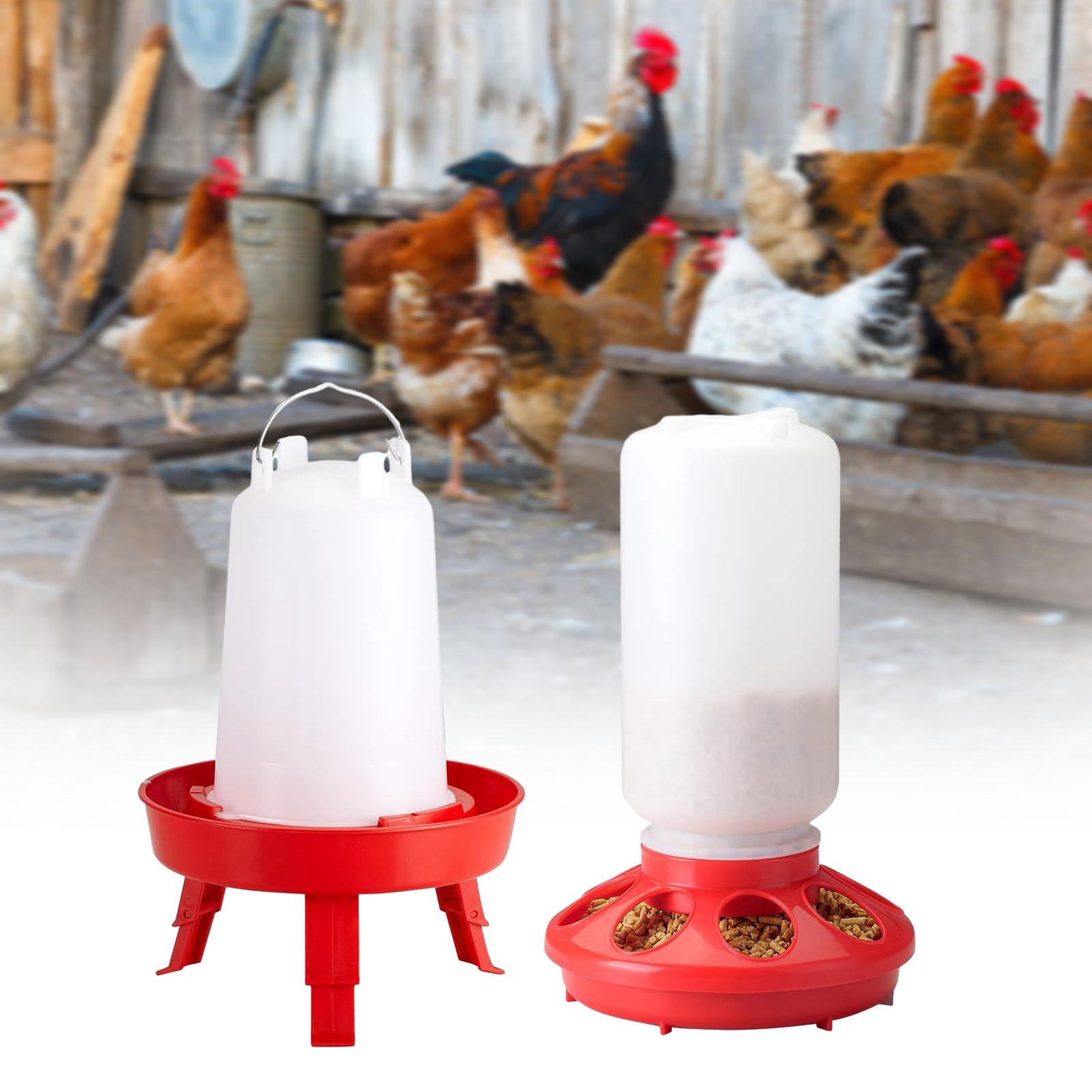 1kg Feeder and 1.5L Chick Waterer Starter Kits for Hen Chicks Pigeon ...
