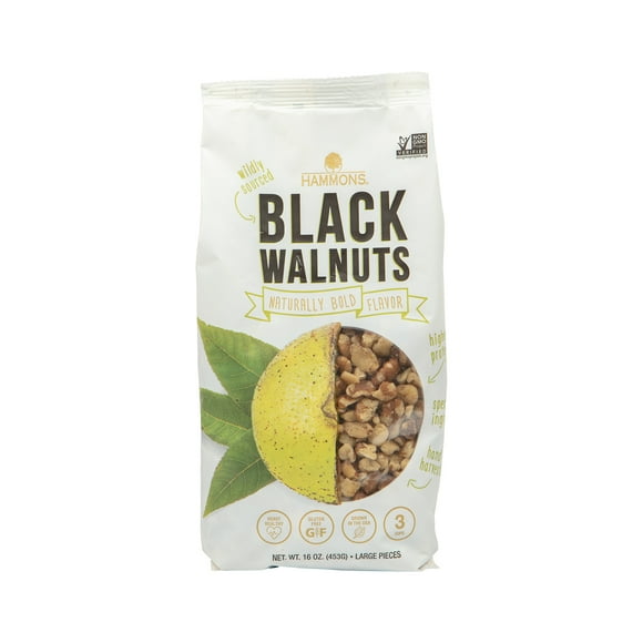 Black Walnut Tree Nuts