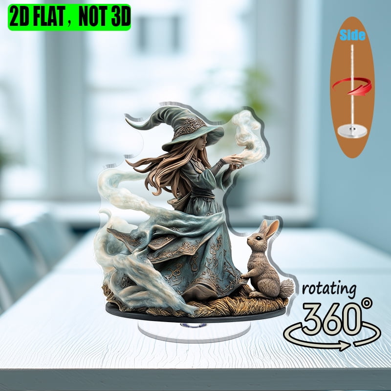 1pc 2d flat Revolving acrylic figurine of a spicy mage and rabbit ...